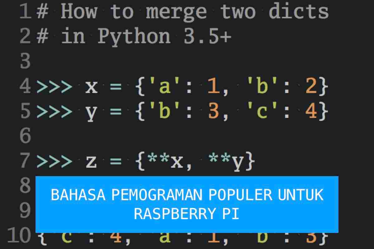 Belajar Raspberry Pi: Bahasa Pemrograman Untuk Raspberry Pi 4 – Pasitive CCTV